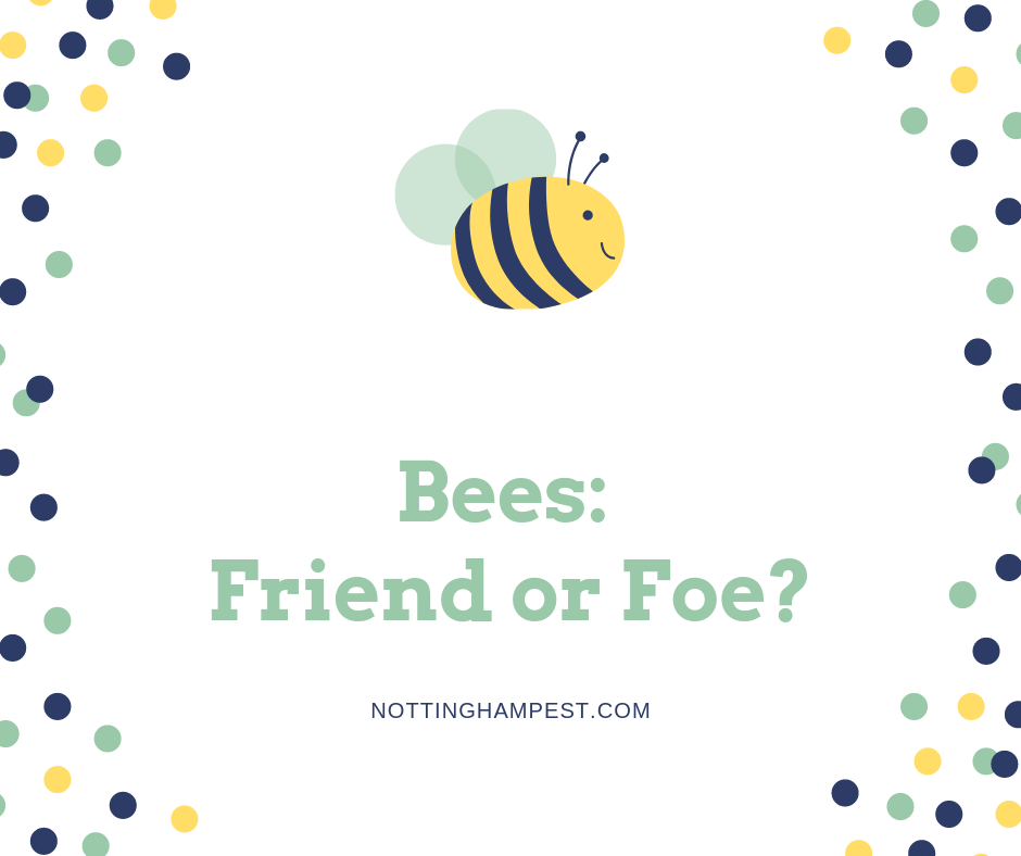 Bees — Friend or Foe? - Nottingham Pest Control: Your Pest Control ...