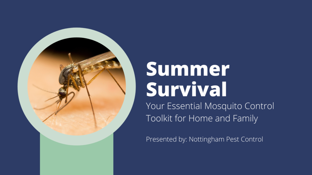 The Ultimate Guide to Summer Mosquito Control - Nottingham Pest Control ...