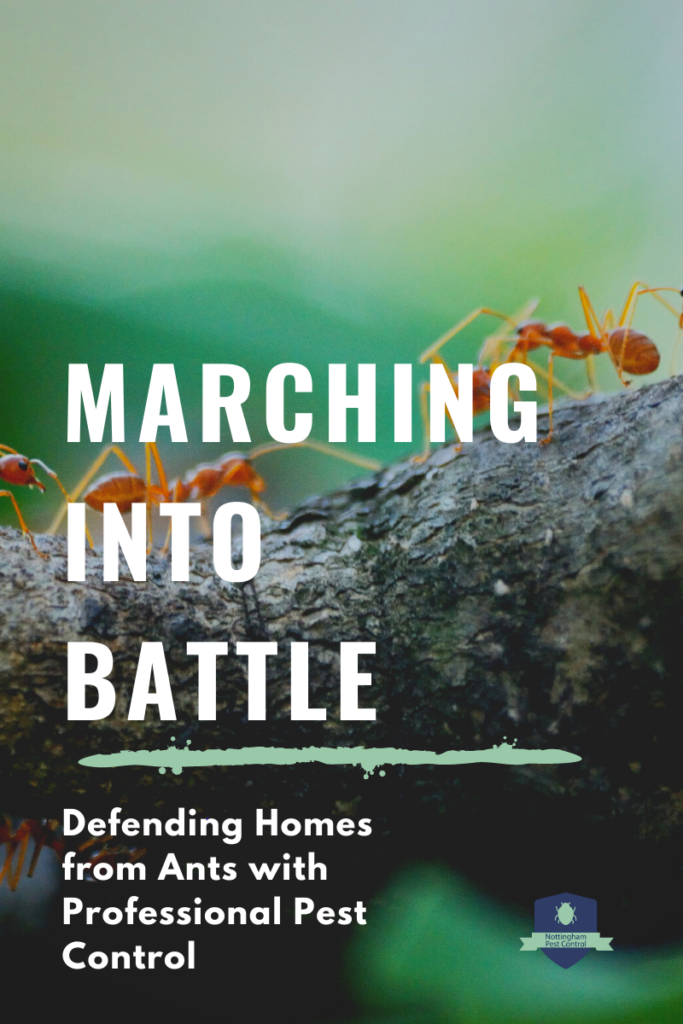 Marching into Battle: Defending Homes from Ants - Nottingham Pest ...